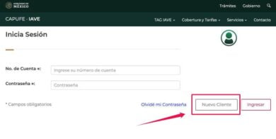 TAG IAVE CAPUFE | Obtén Telepeaje TAG IAVE ️